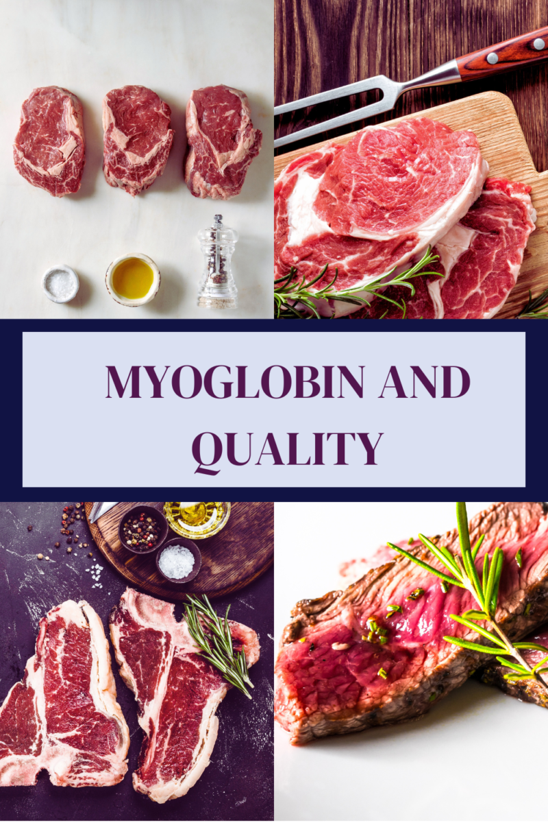 What is myoglobin and why is meat red? - LeMasterFit